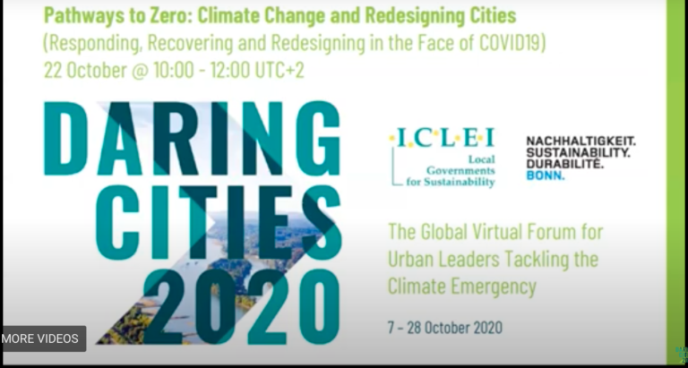 Pathways to Zero: Climate Change and Redesigning Cities (Responding ...