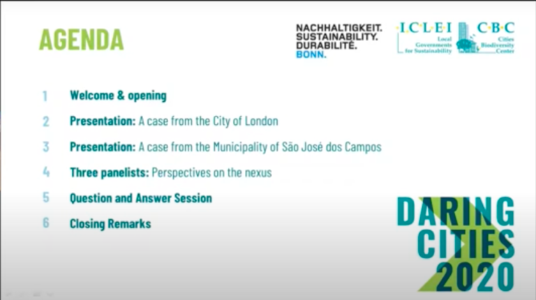 A Nexus Approach to Nature's Multiple Benefits to Build Resilience in Urban Areas - Daring Cities